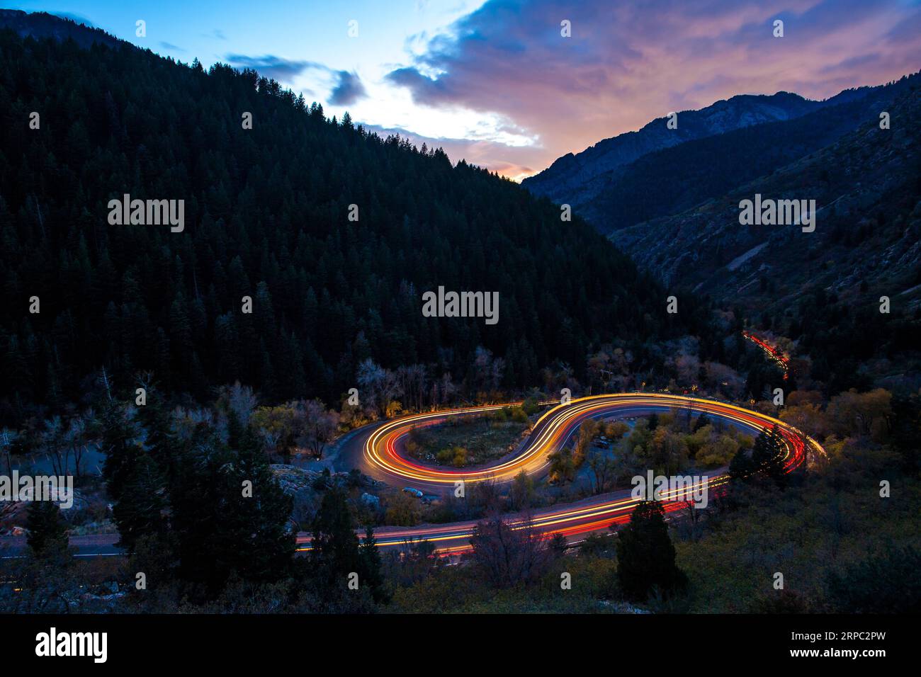 Curve motion tree hi-res stock photography and images - Alamy