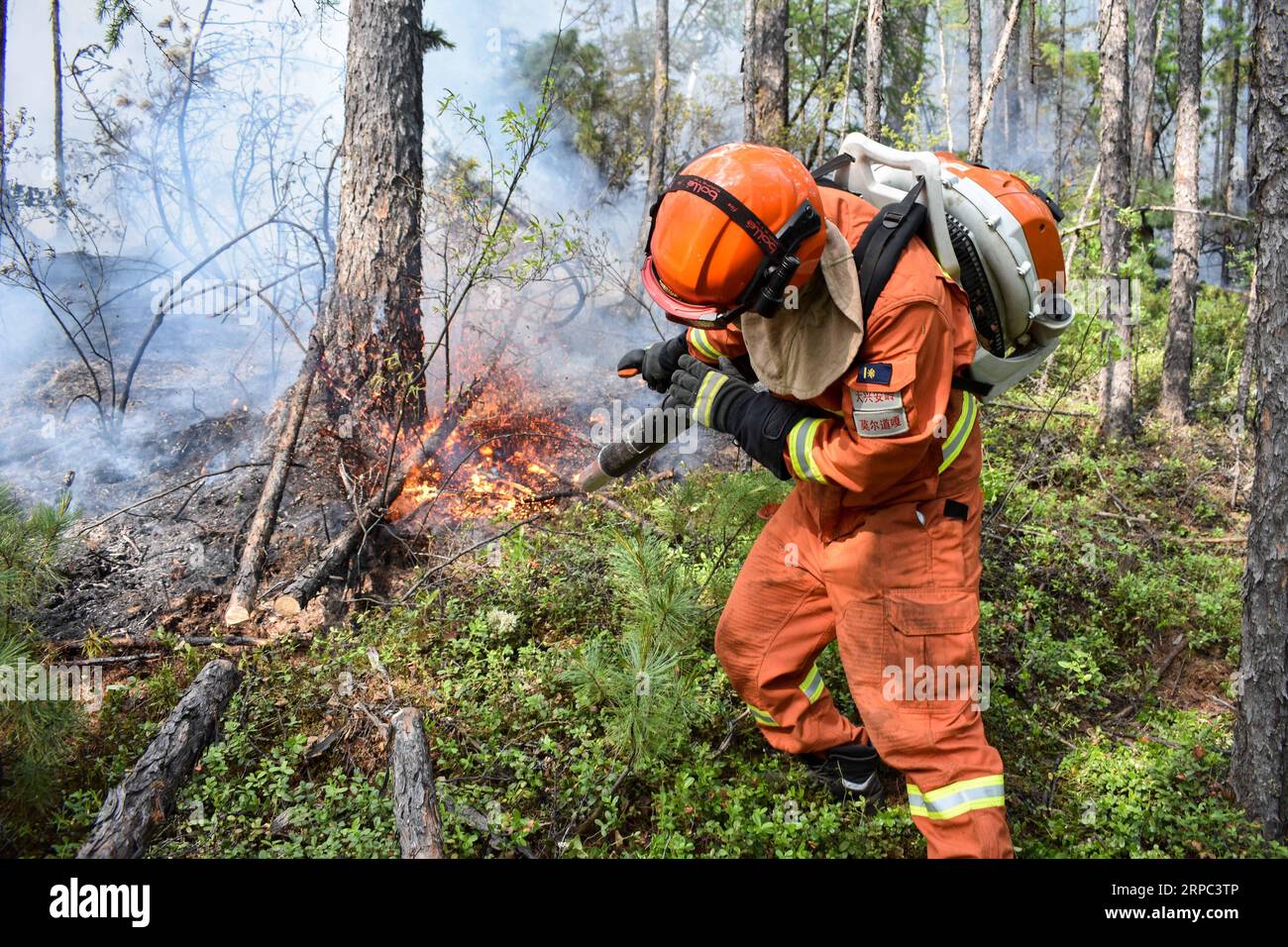 Mongolia hingan hi-res stock photography and images - Alamy