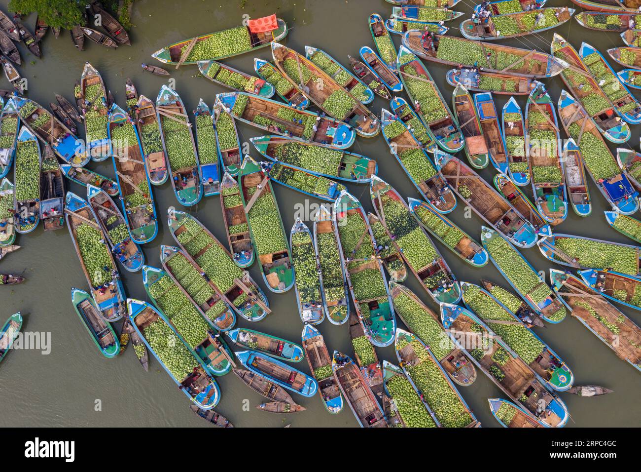 Farmers sell watermelons to middlemen at a bi-weekly floating market on ...