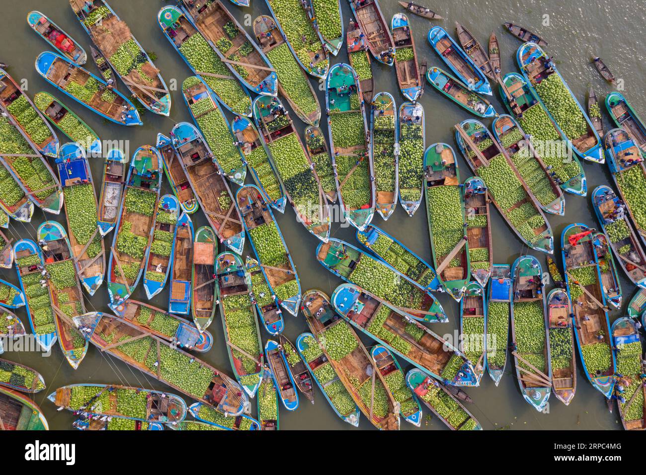 Farmers sell watermelons to middlemen at a bi-weekly floating market on ...