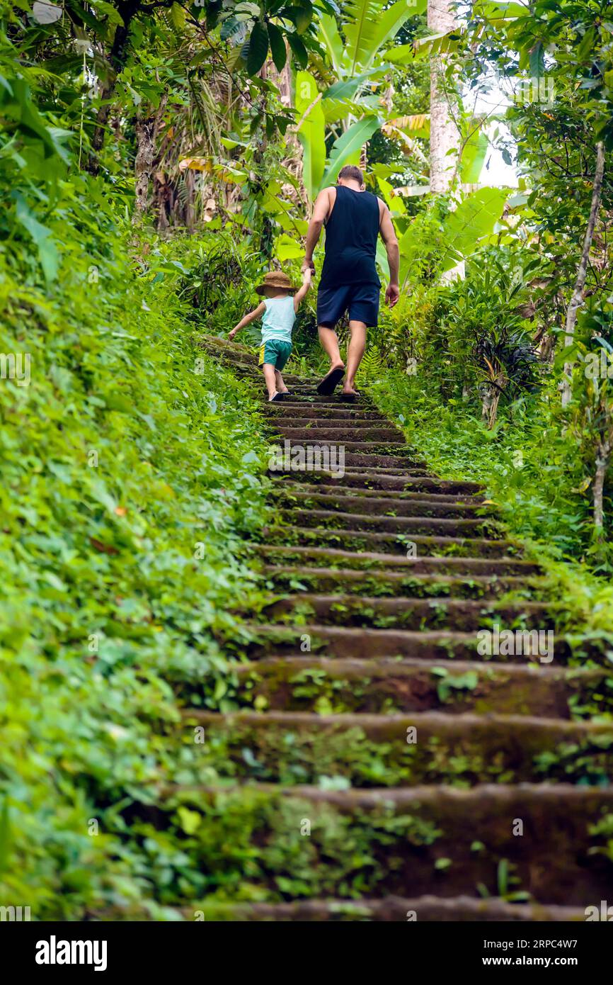 Father and son hiking up steps in jungle, Kintamani, Bali, Indonesia ...