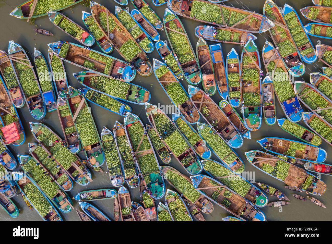 Farmers sell watermelons to middlemen at a bi-weekly floating market on ...