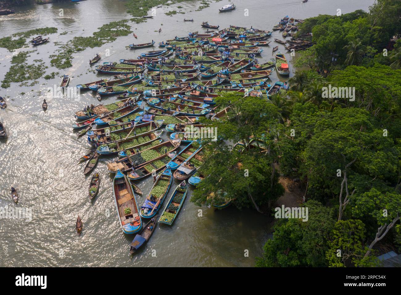 Farmers sell watermelons to middlemen at a bi-weekly floating market on ...
