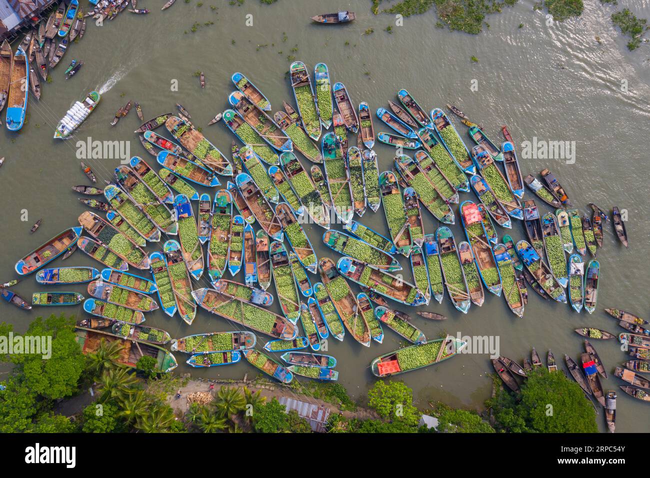 Farmers sell watermelons to middlemen at a bi-weekly floating market on ...