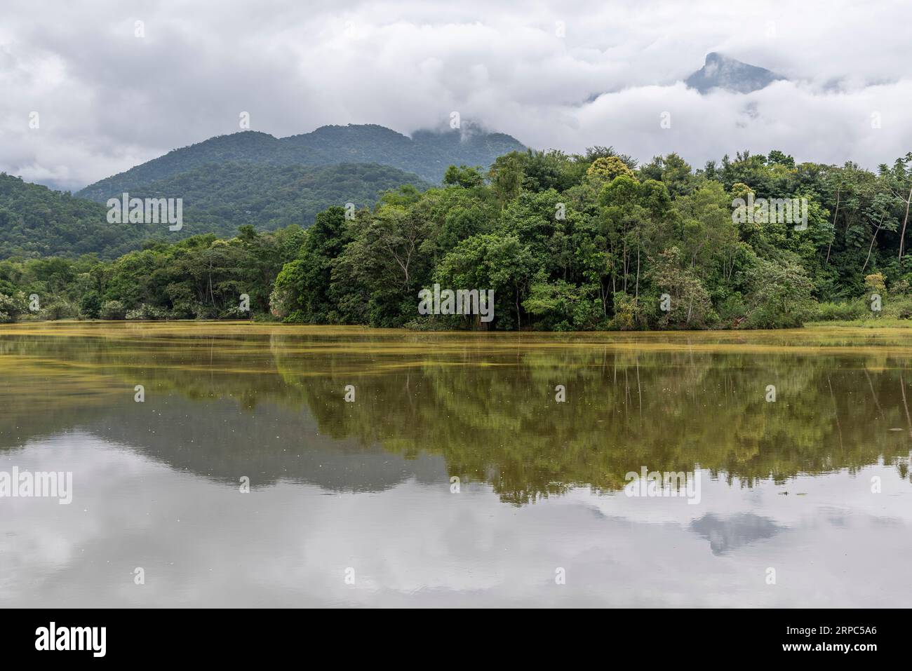 Atlantic rainforest landscape with lake, jungle and mountain clouds ...