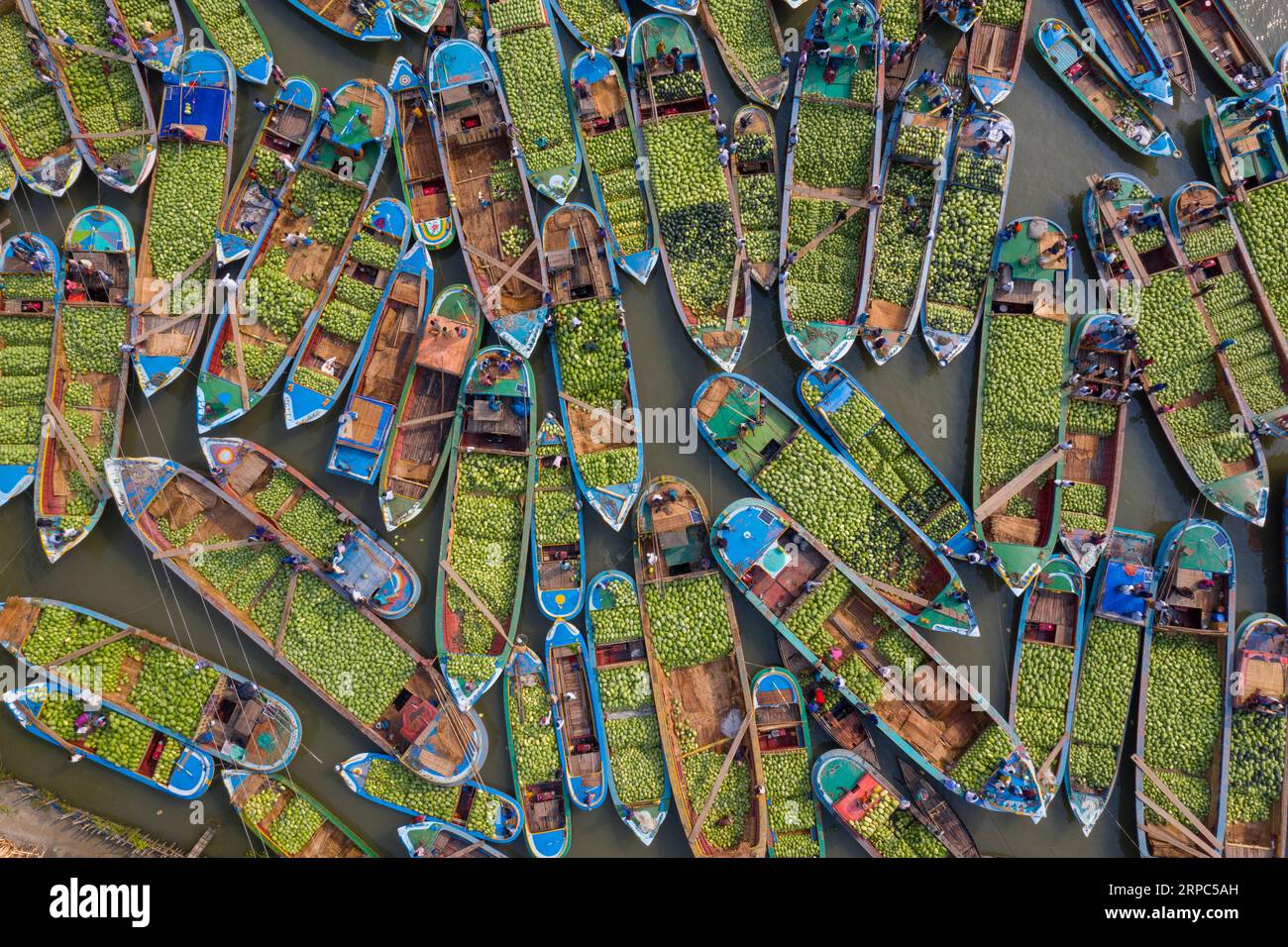 Farmers sell watermelons to middlemen at a bi-weekly floating market on ...