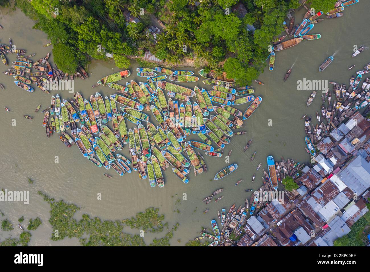 Farmers sell watermelons to middlemen at a bi-weekly floating market on ...