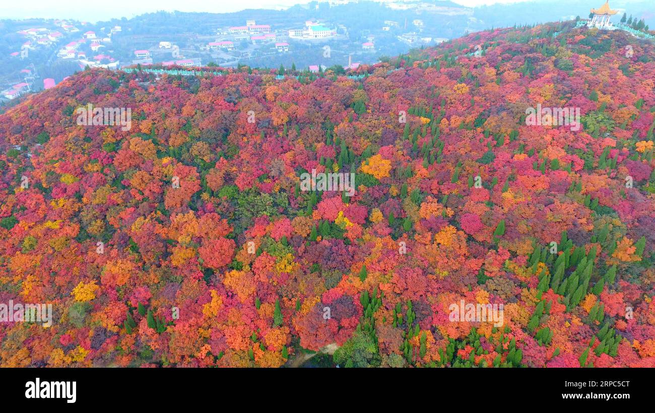 Inhenan hi-res stock photography and images - Alamy