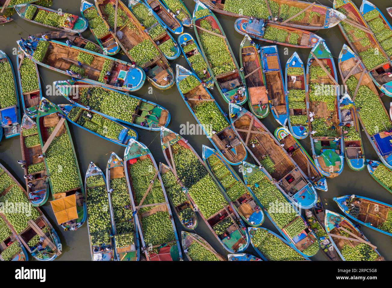 Farmers sell watermelons to middlemen at a bi-weekly floating market on ...