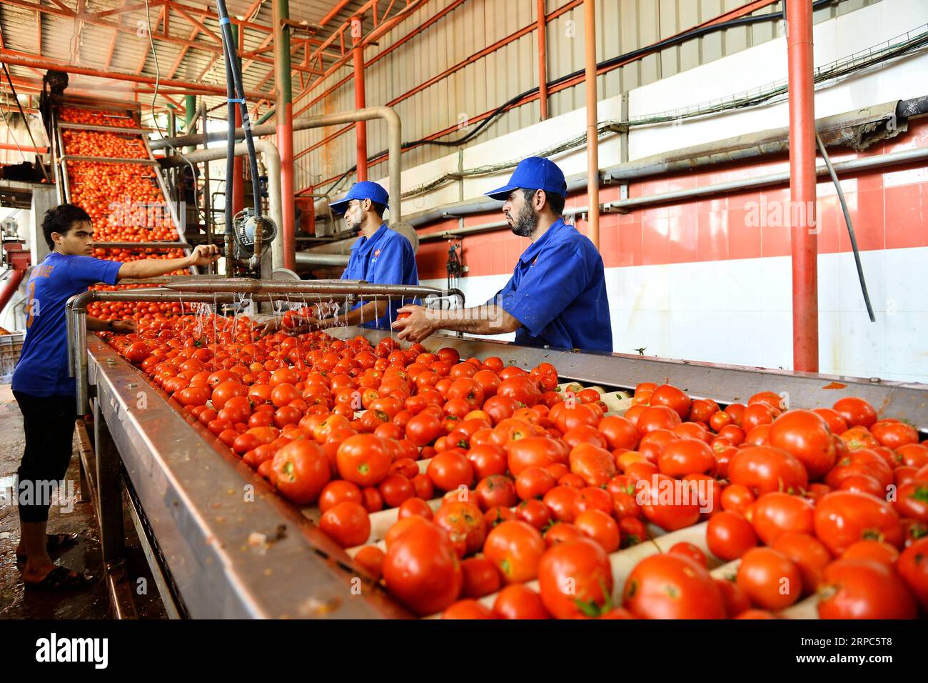 Tomato paste factory hi-res stock photography and images - Alamy