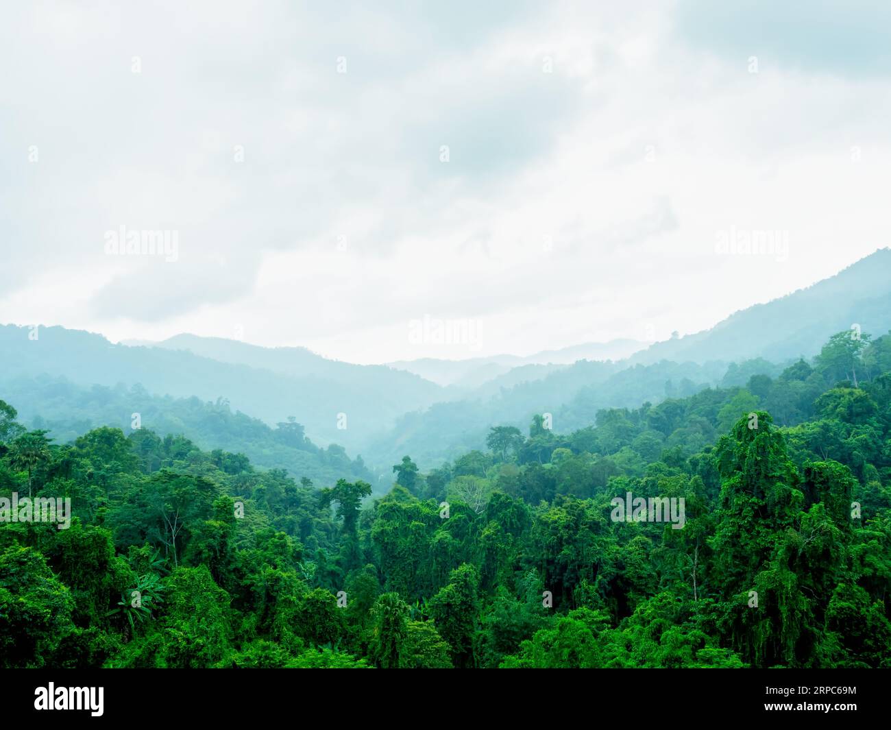 Cool tone hi-res stock photography and images - Alamy