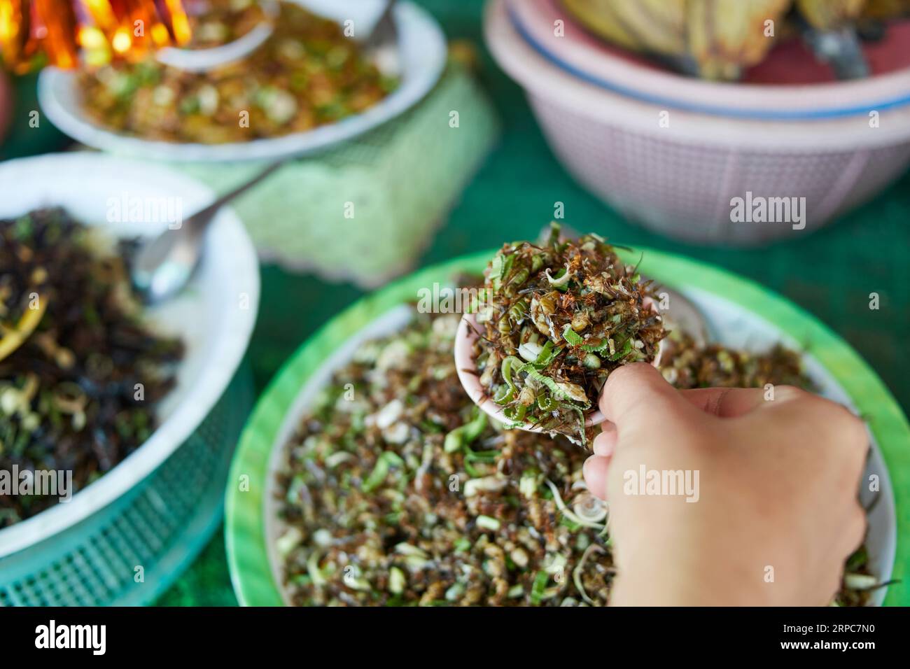 Heap of red ant eggs and red ant larvae for sale at rural market Stock ...
