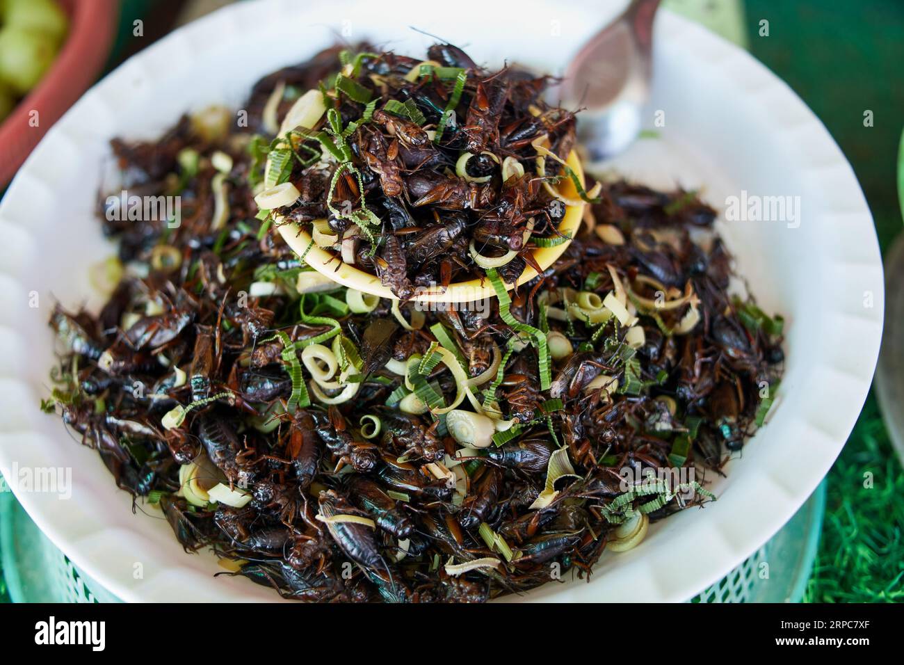 Deep fried crickets hi-res stock photography and images - Alamy