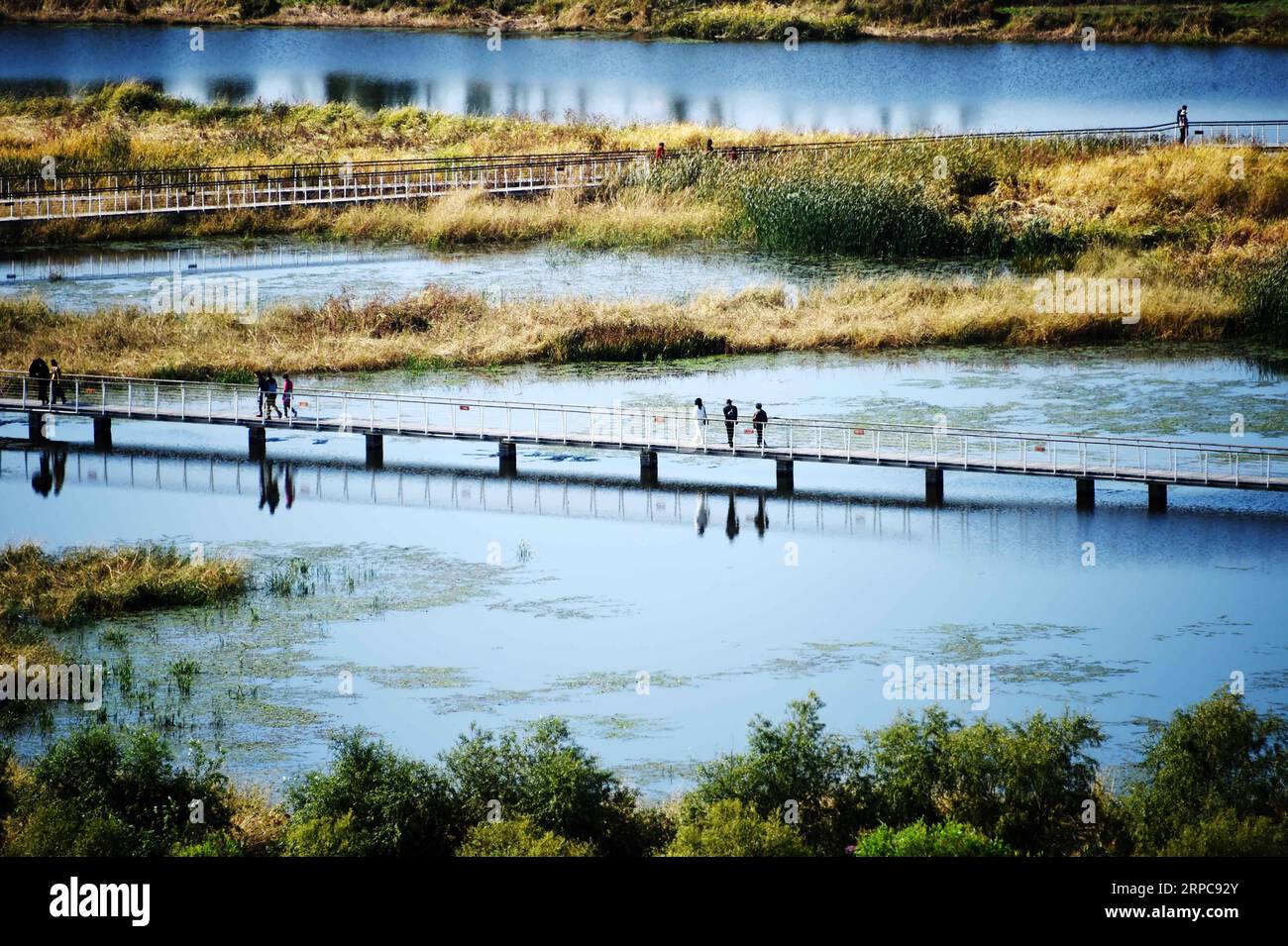 Harbin china wetlands hi-res stock photography and images - Alamy