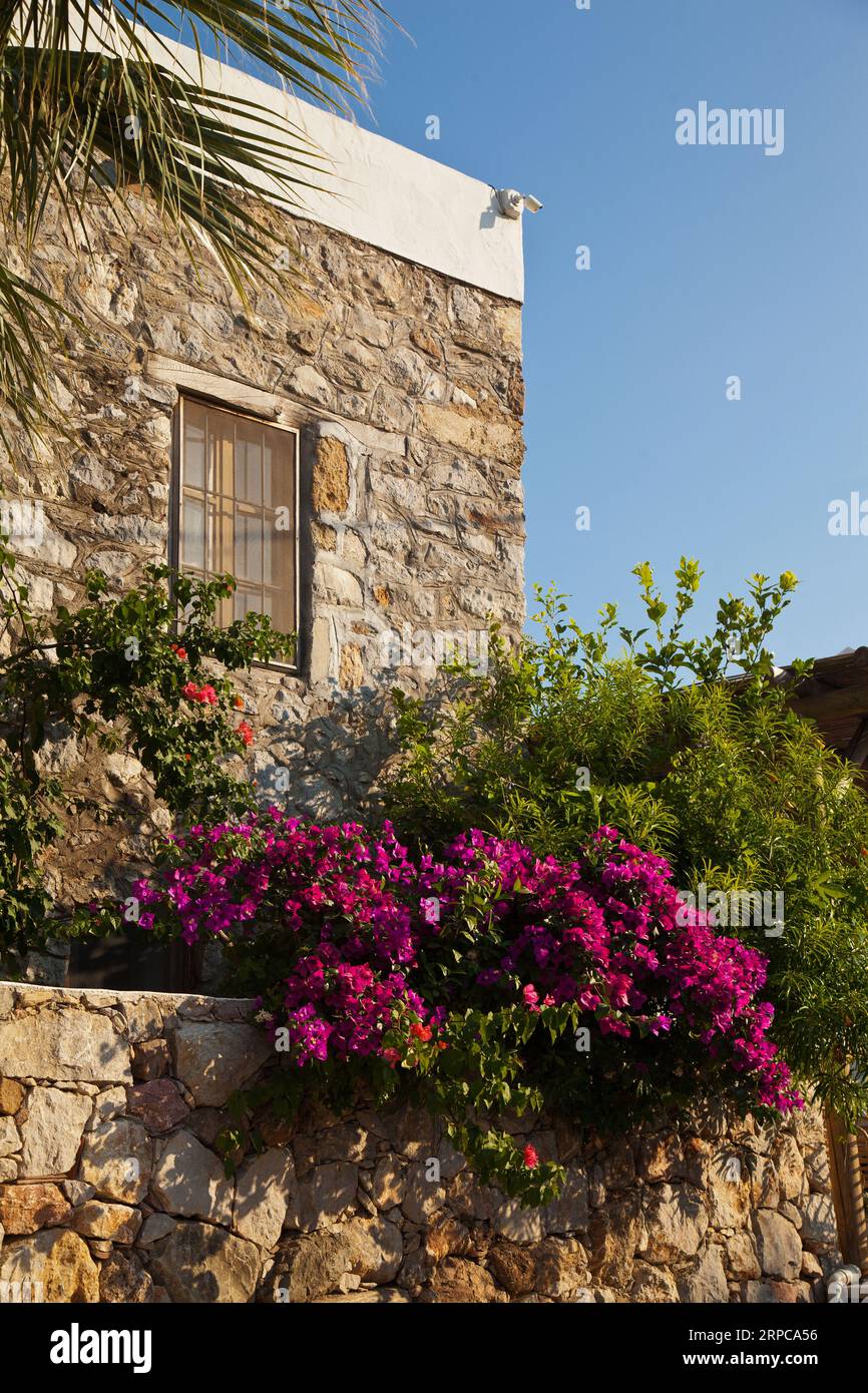 Solid and nostalgic stone houses typical of the Old Datca region ...