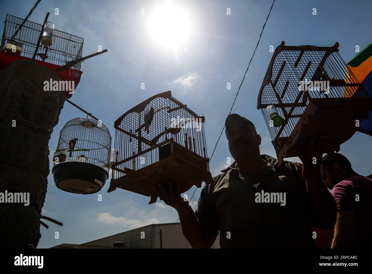 Mideast gaza wild birds market hi-res stock photography and images - Alamy