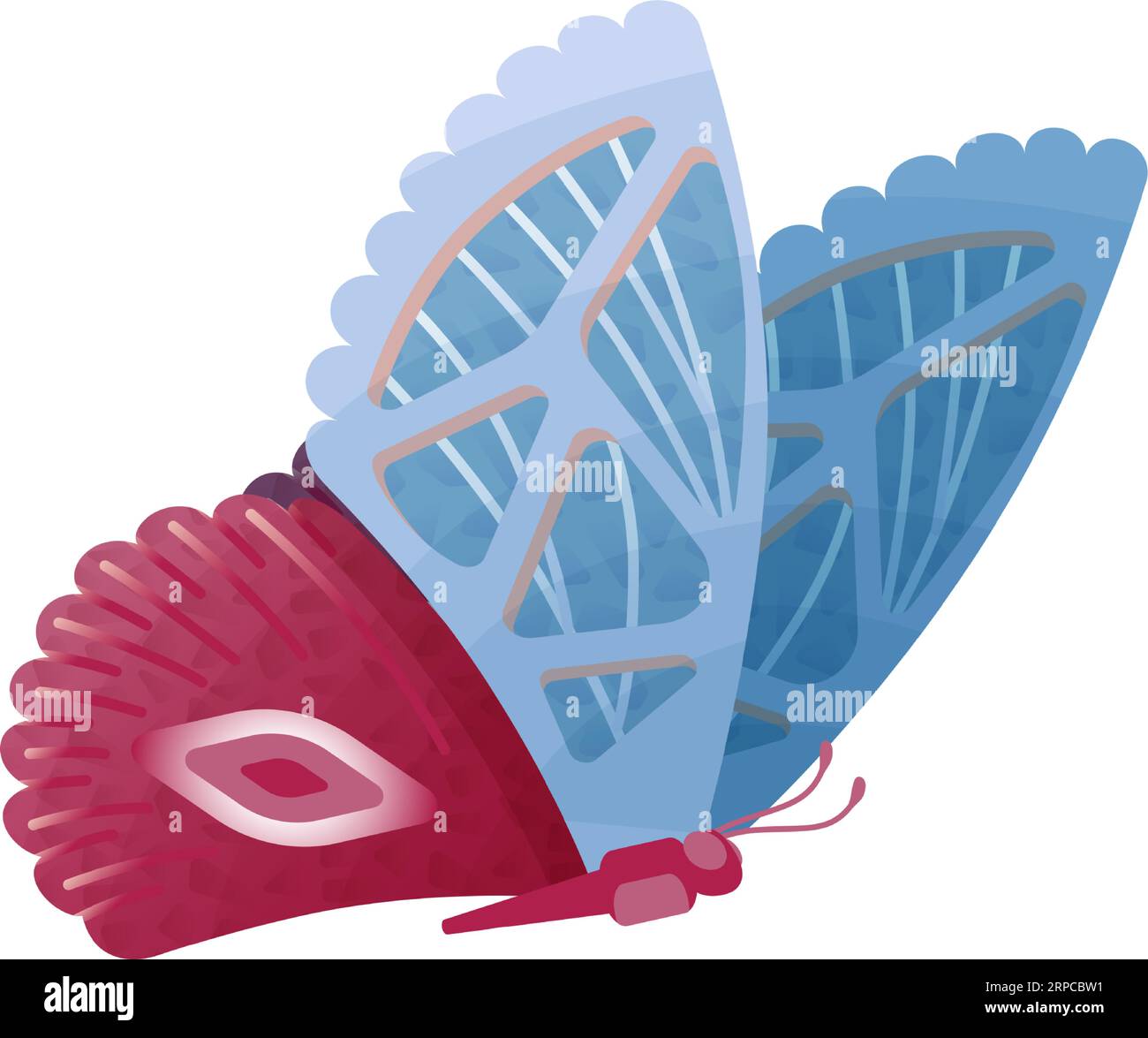 Blue winged butterfly. Wild nature. Summer insect Stock Vector Image ...