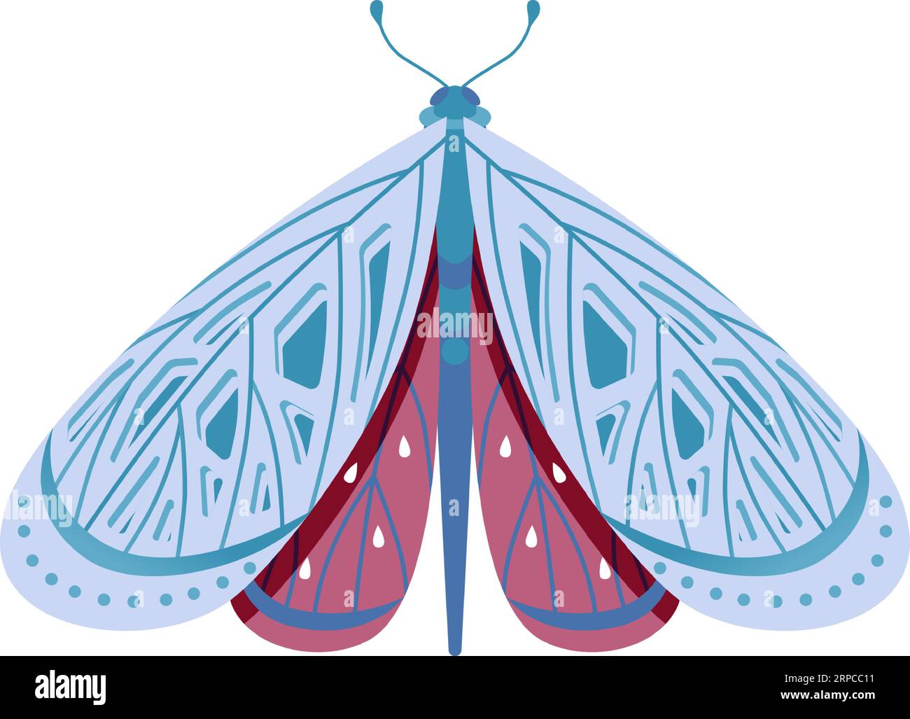 Blue moth with ornamental wings. Beautiful decorative insect Stock ...