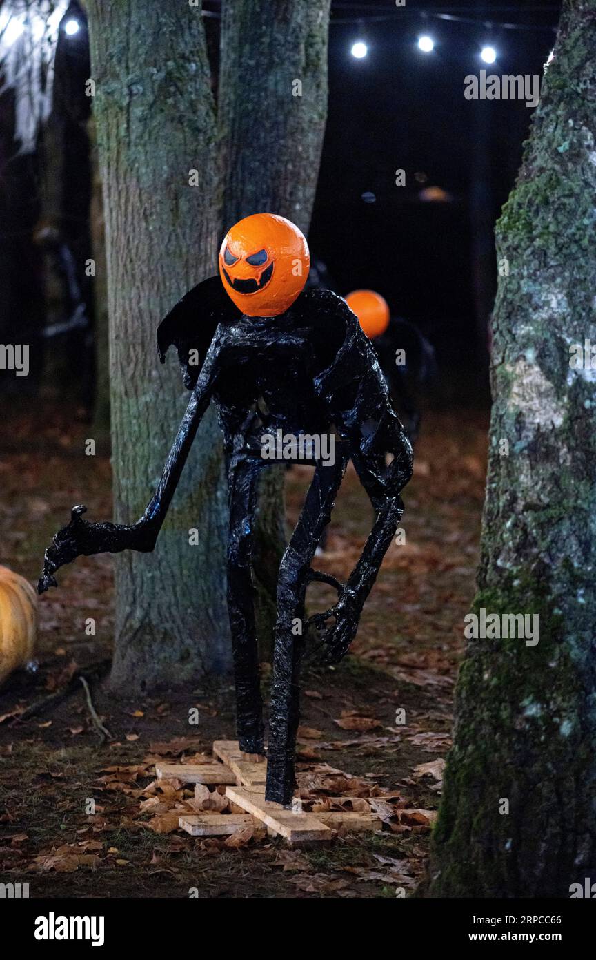 A spooky Halloween decoration stands in a wooded area creating a ...