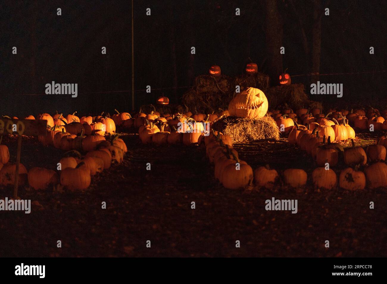 A spooky Halloween decoration stands in a wooded area creating a ...