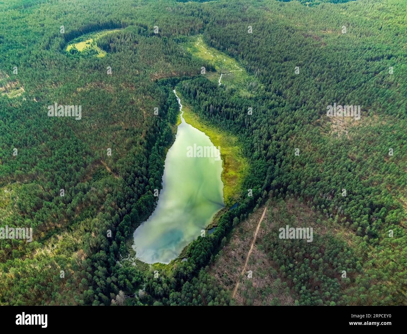 Aerial view of a lake in the forests of Lithuania, wild nature. The ...