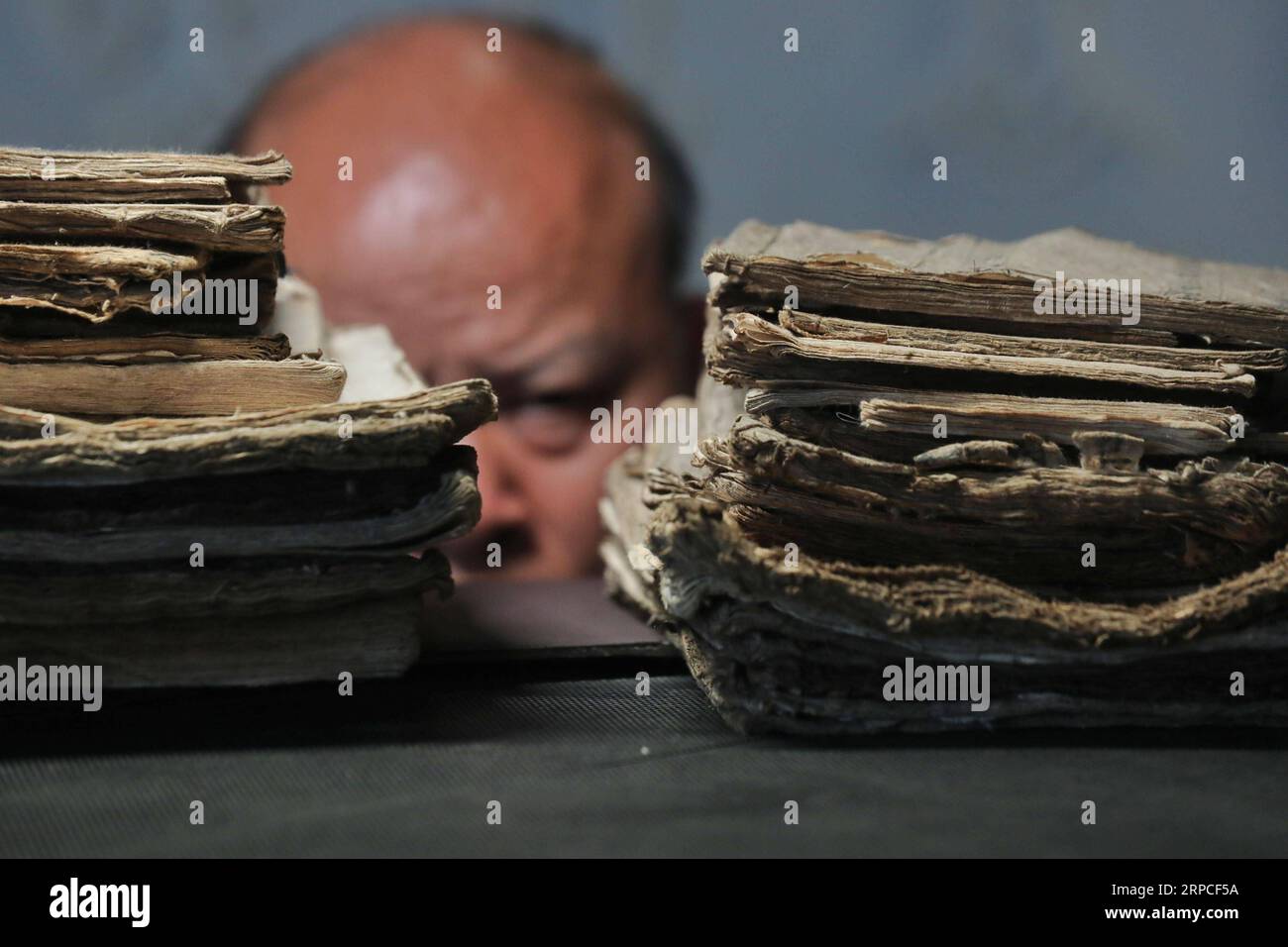 Examines ancient texts hi-res stock photography and images - Alamy