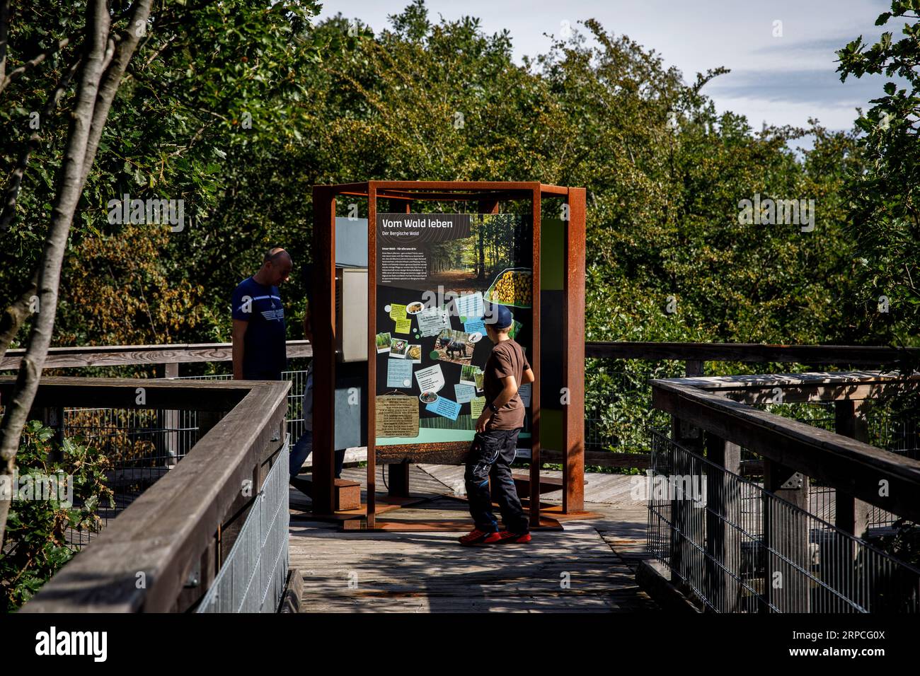 visitor on the tree-top walk at the Panarbora Nature Adventure Park in ...