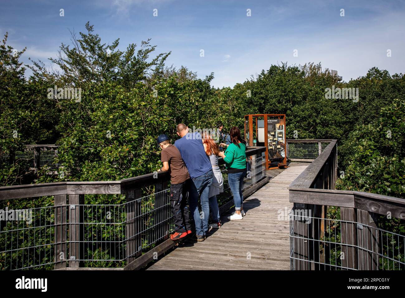visitors on the tree-top walk at the Panarbora Nature Adventure Park in ...