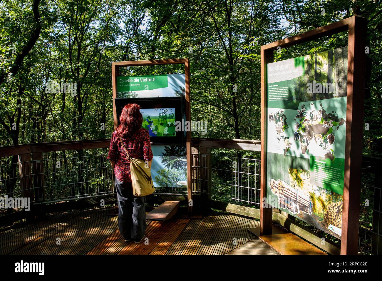 visitor on the tree-top walk at the Panarbora Nature Adventure Park in ...