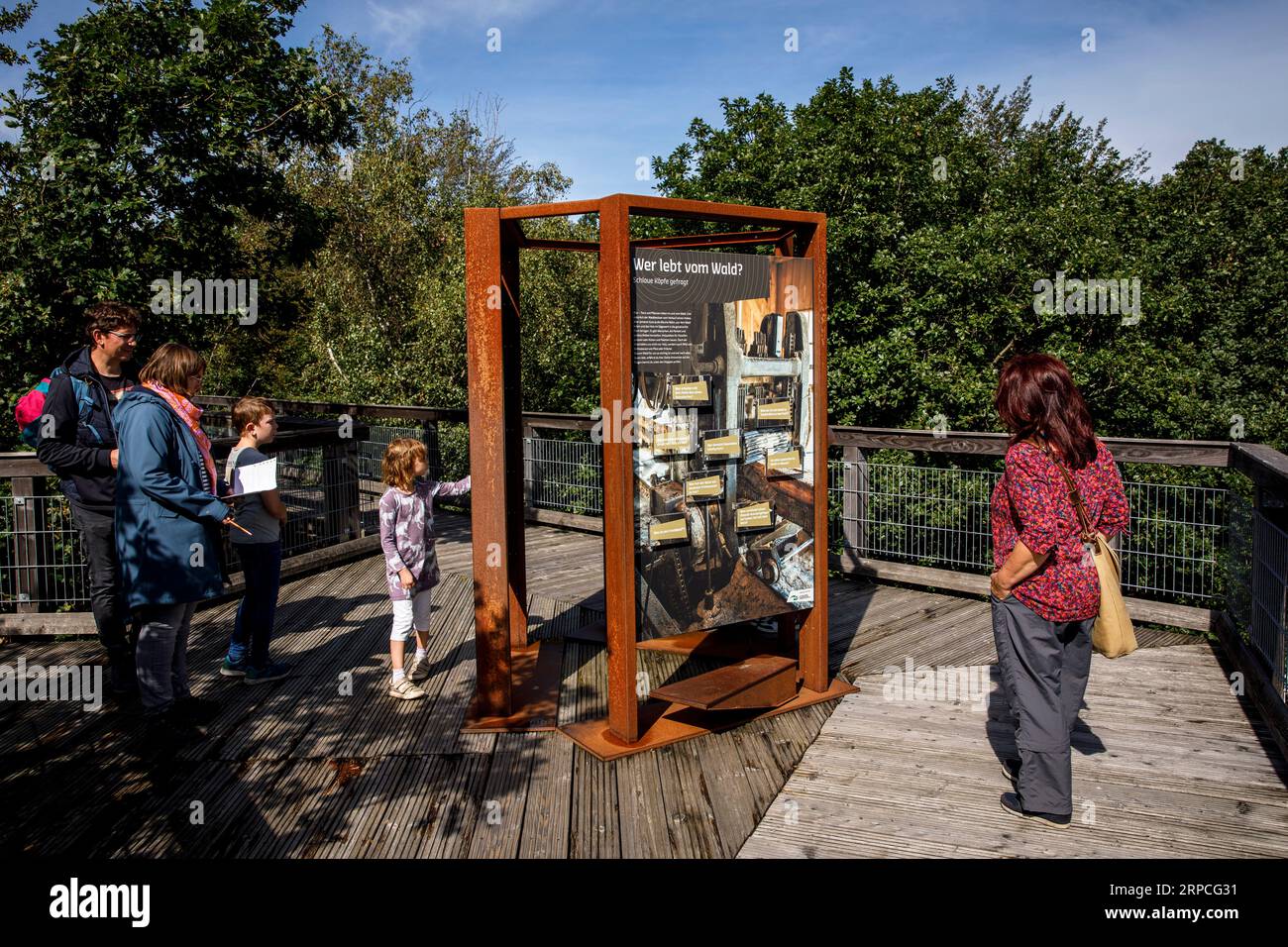 visitors on the tree-top walk at the Panarbora Nature Adventure Park in ...