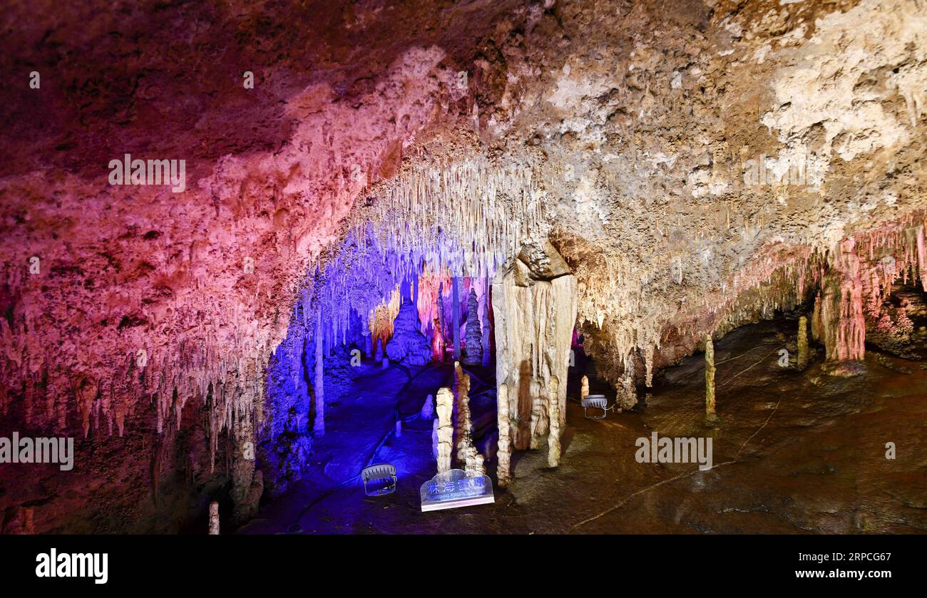 (190704) -- CHONGQING, July 4, 2019 -- Photo taken on July 3, 2019 ...