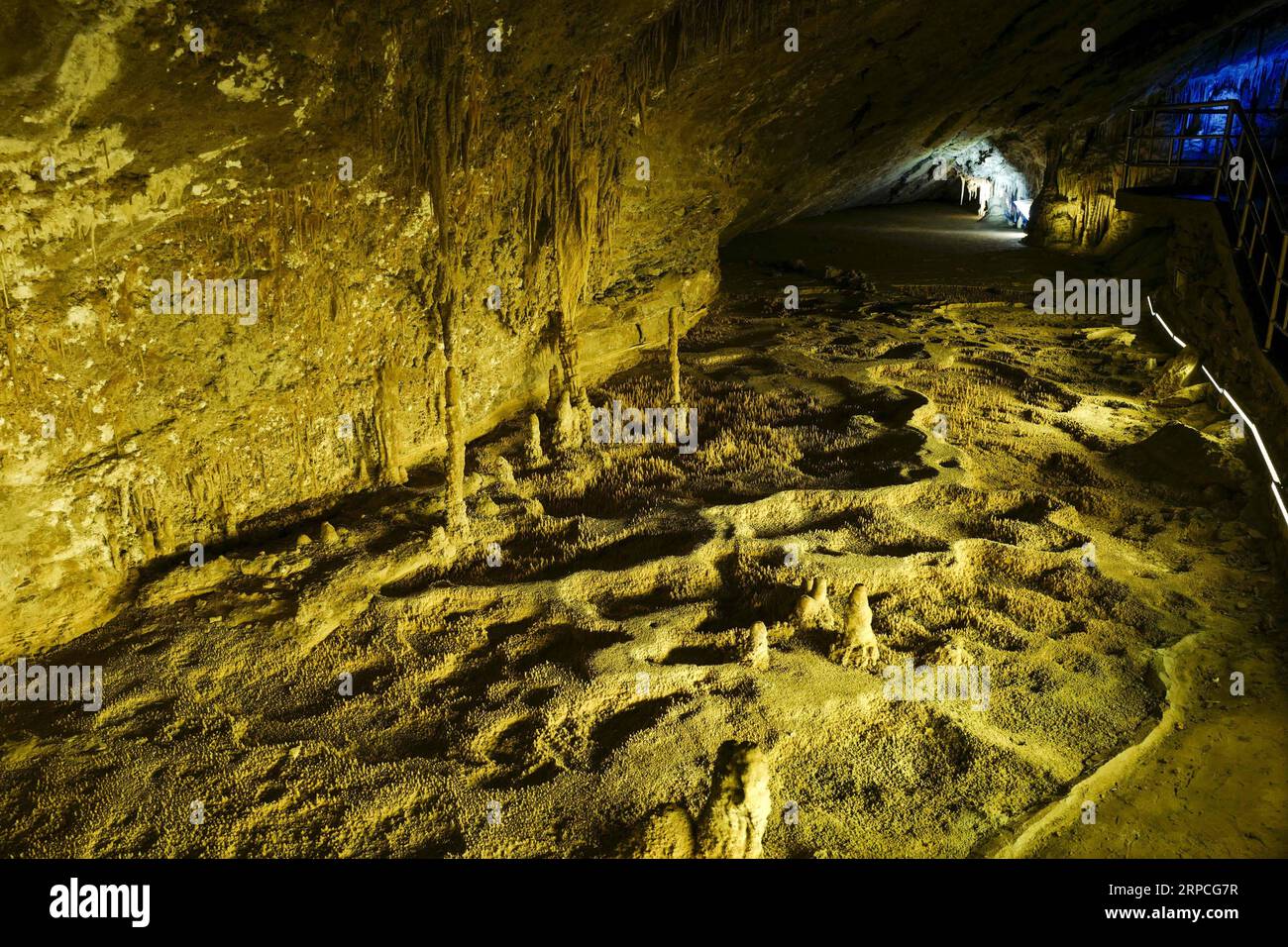 (190704) -- CHONGQING, July 4, 2019 -- Photo taken on July 3, 2019 ...