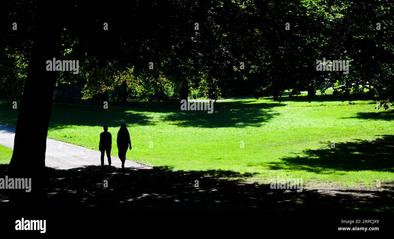 Hanover, Germany. 04th Sep, 2023. Two women walk through the marsh park ...