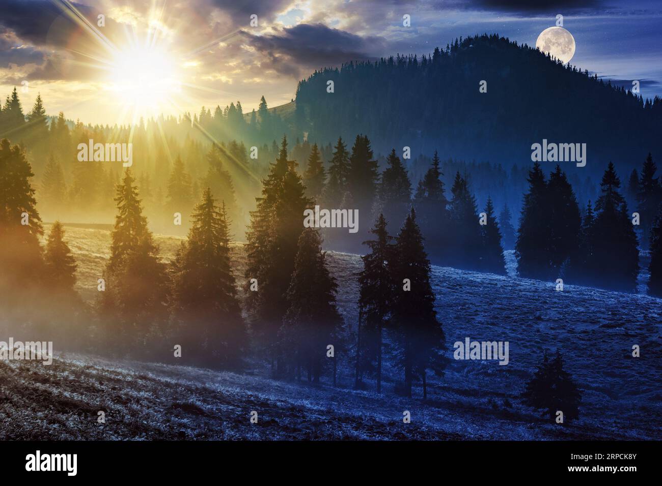 cold fog among conifer forest in mountains of Romania with sun and moon ...