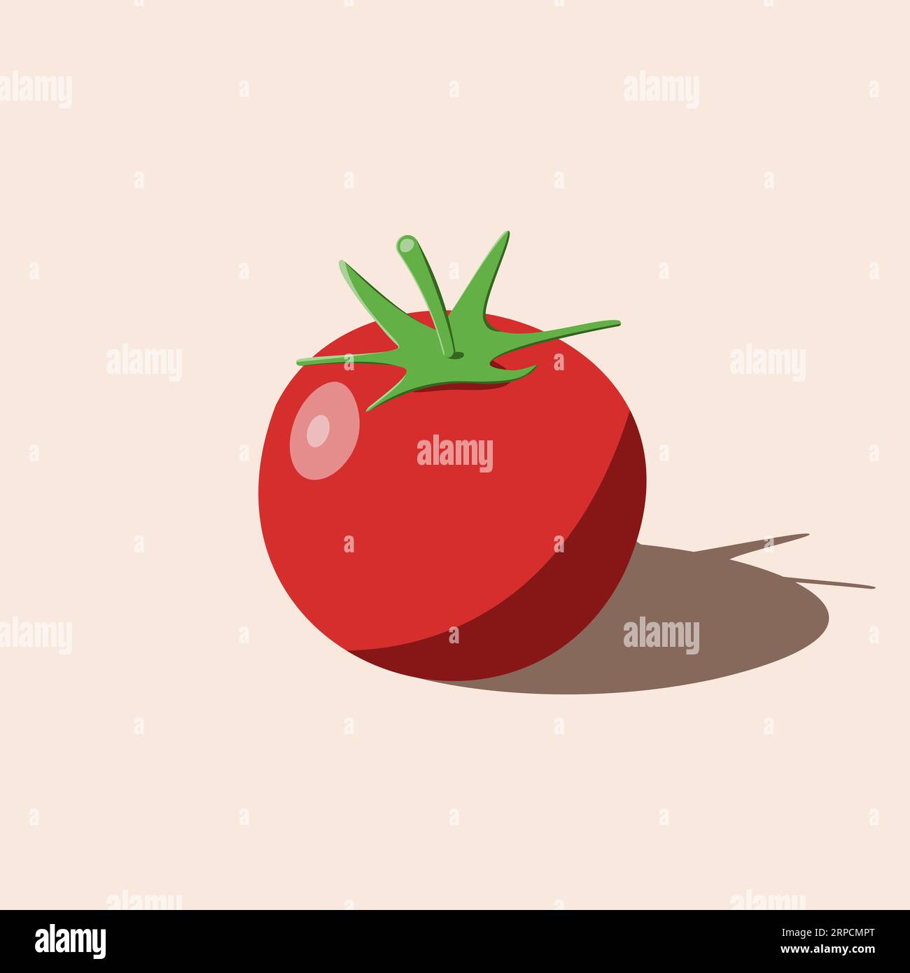 Single tomato fruit Stock Vector Images - Alamy