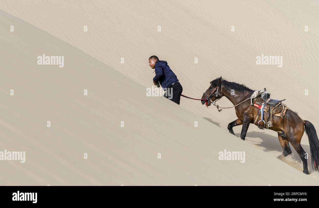 (190709) -- YULI, July 9, 2019 -- Forest ranger Eli Niyaz walks in the ...