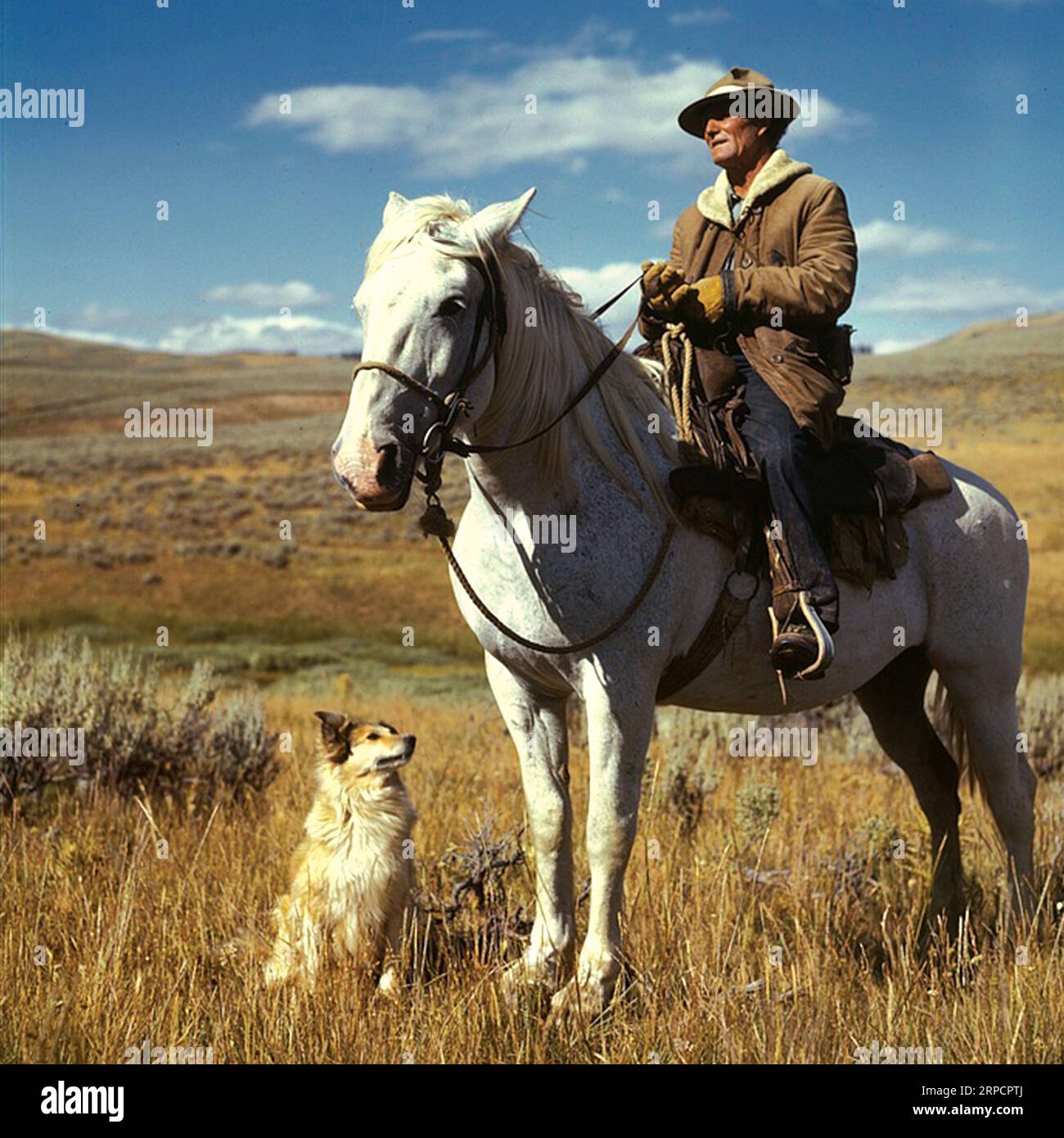 Shepherd with his horse and dog on Gravelly Range, Madison County ...