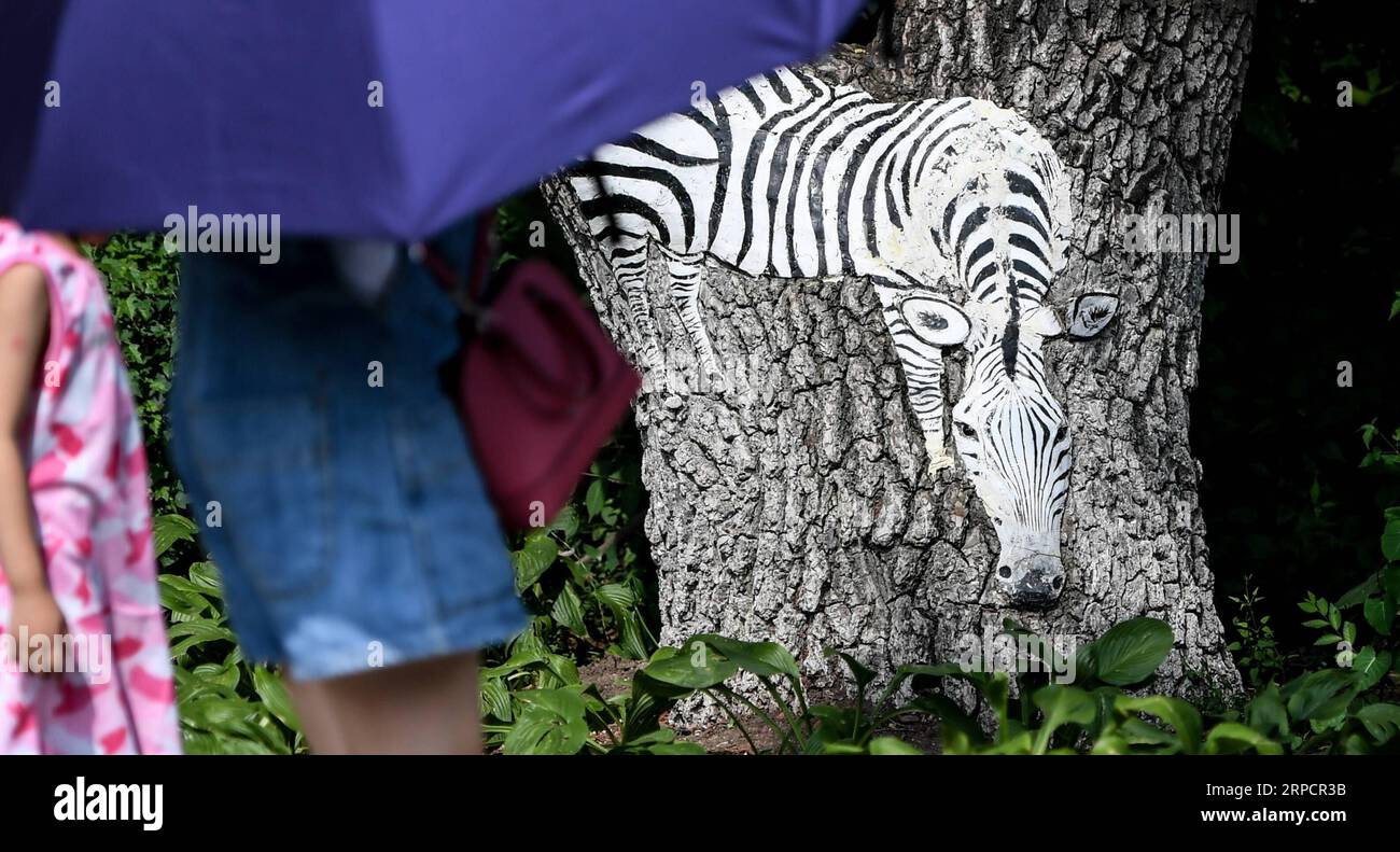 Bark painting hi-res stock photography and images - Alamy