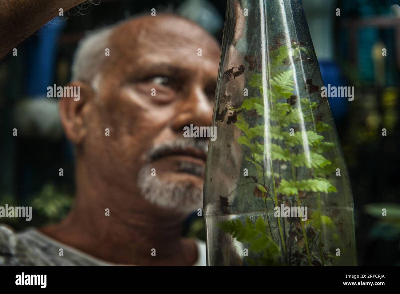 Electric cycle in india hi-res stock photography and images - Alamy