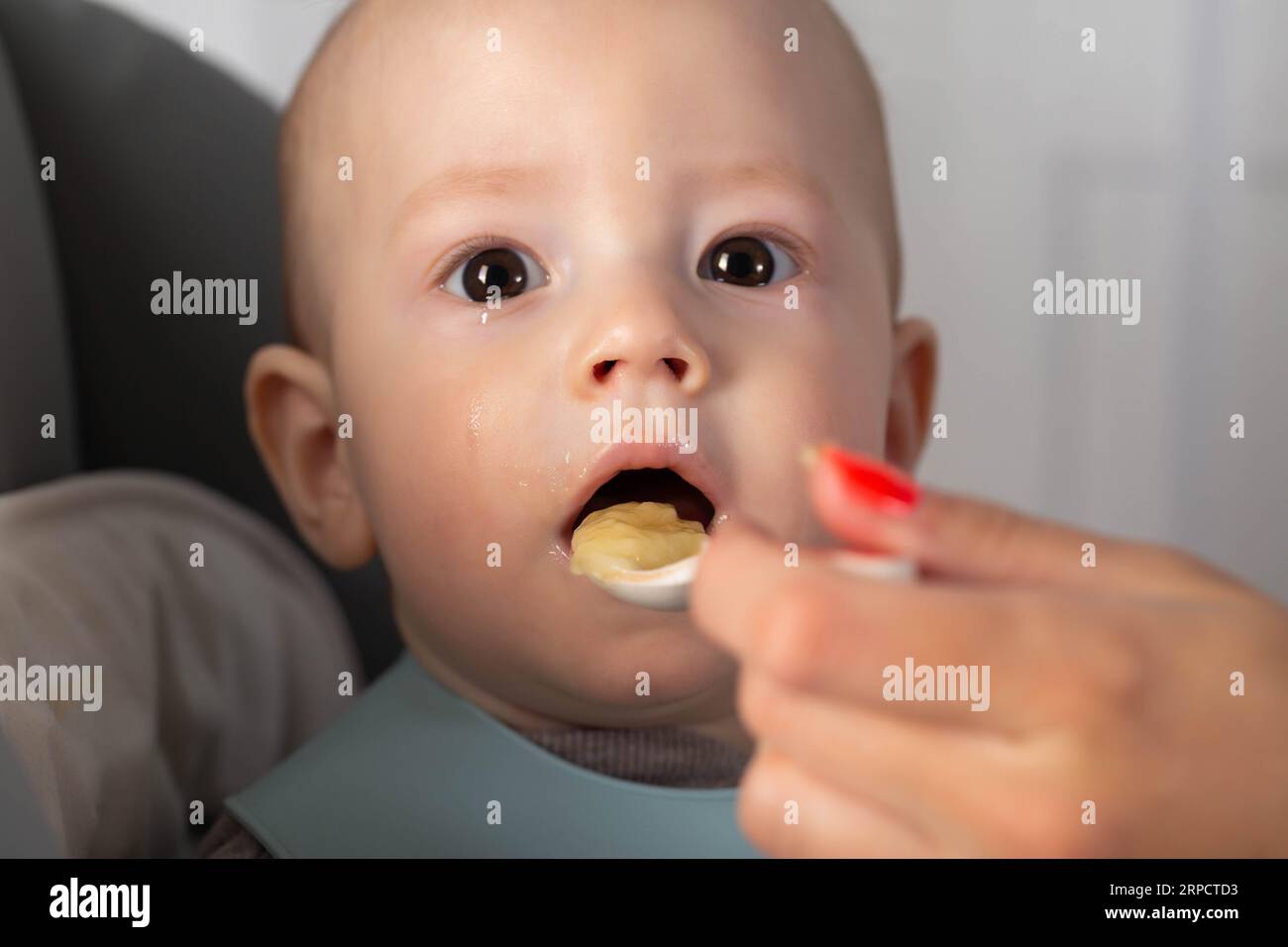 A mother feeds a baby boy who is 8 months old with meat puree. Feeding ...