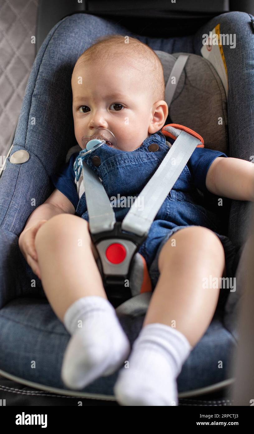 A little handsome boy sits in a child car seat tied with a seat belt ...