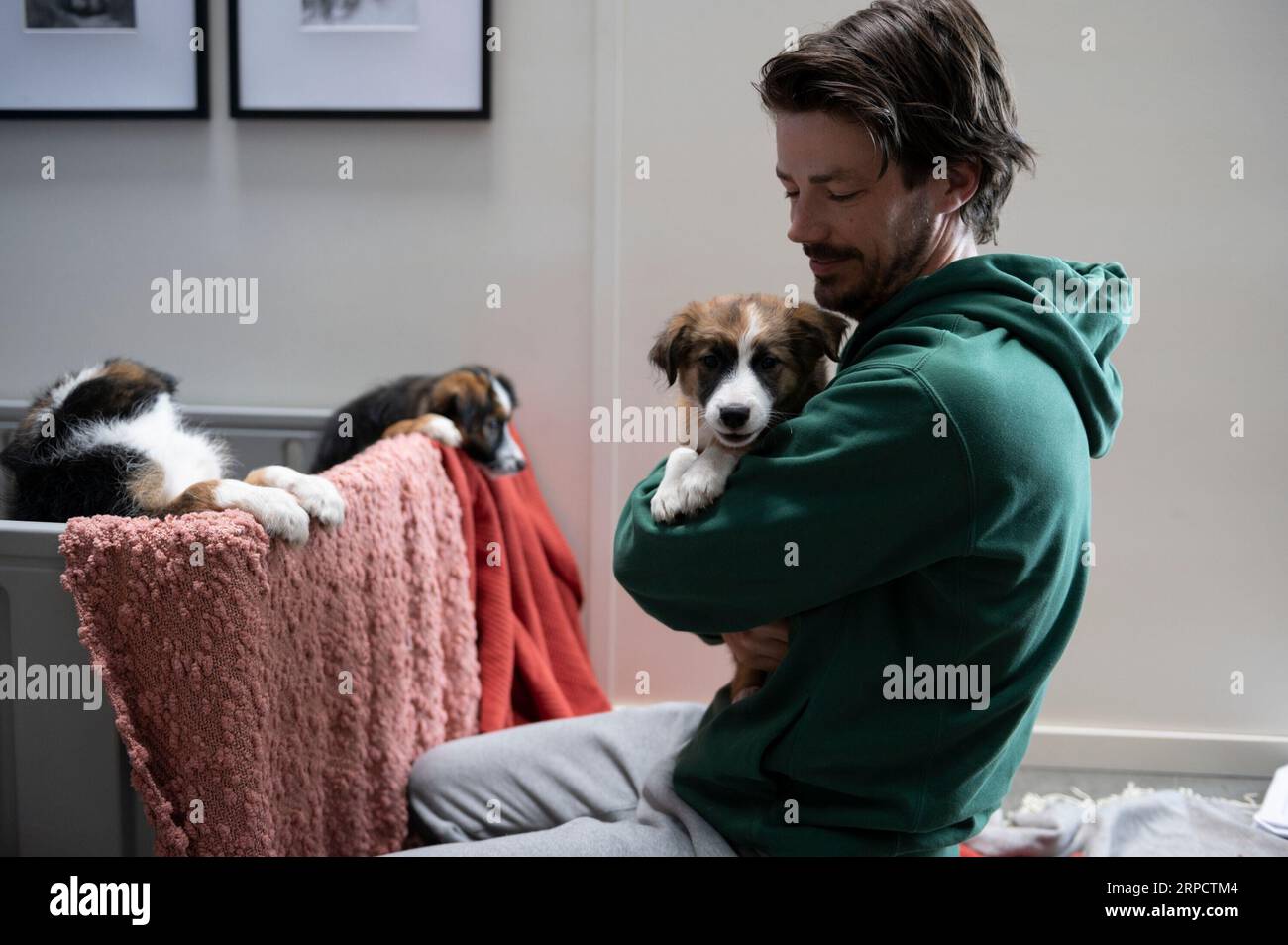 Grant gustin hi-res stock photography and images - Alamy