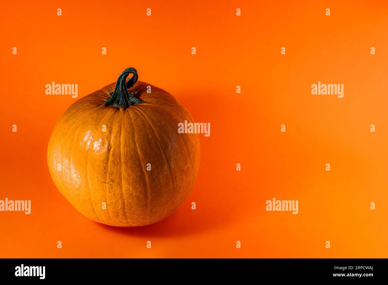 Halloween Themed Decoration with solid background Stock Photo - Alamy