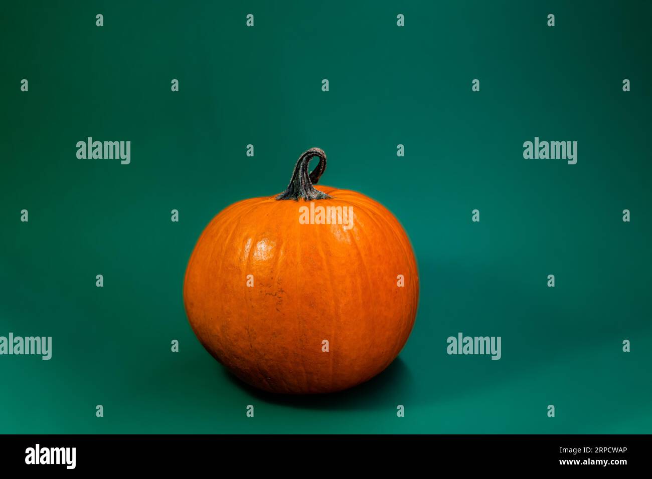Halloween Themed Decoration with solid background Stock Photo - Alamy