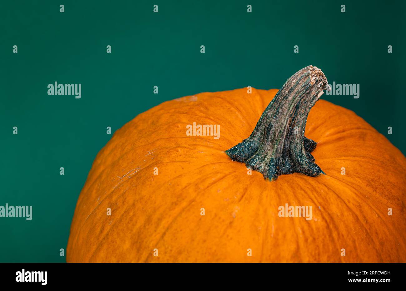 Halloween Themed Decoration with solid background Stock Photo - Alamy