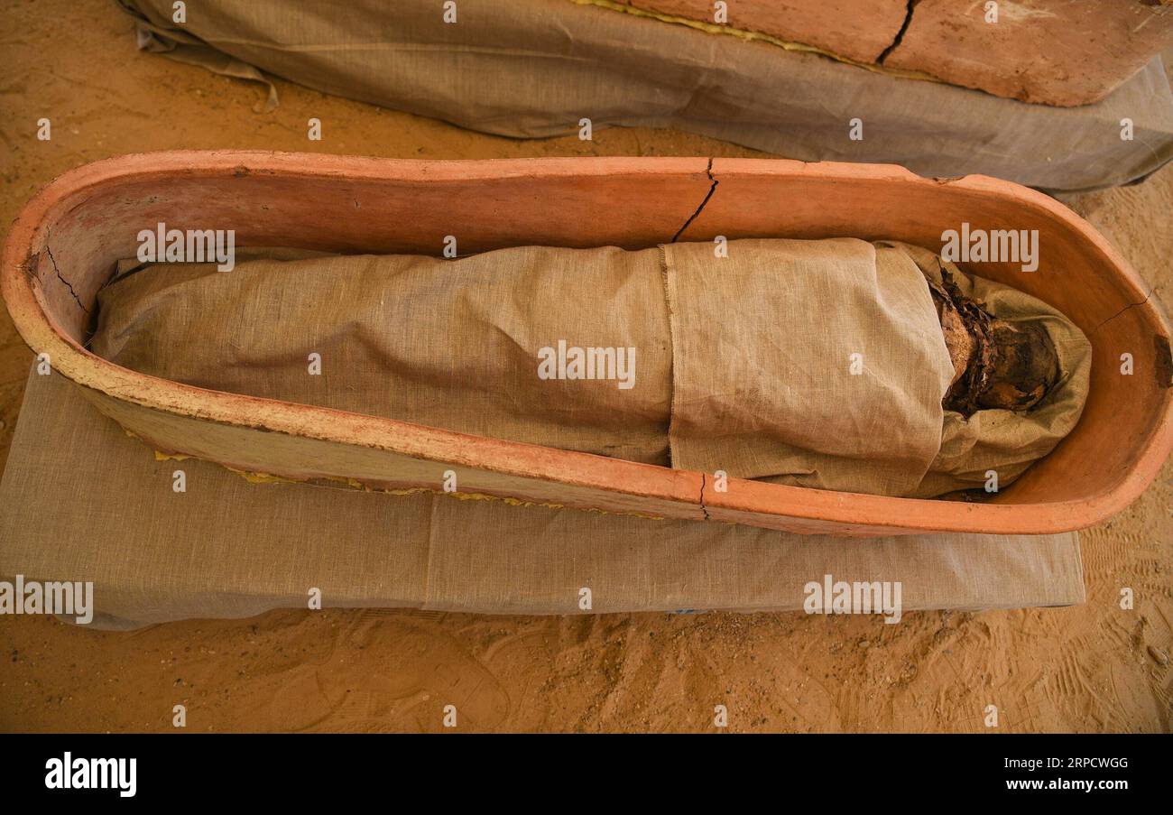 (190714) -- GIZA, July 14, 2019 -- Photo taken on July 13, 2019 shows a ...