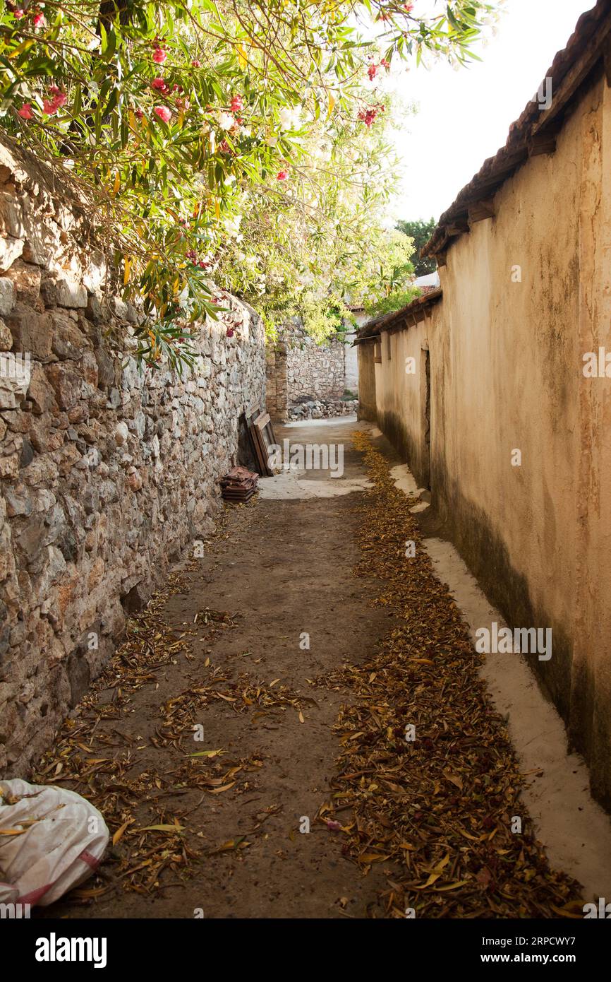 Old Datca streets with its unique architecture and people making ...