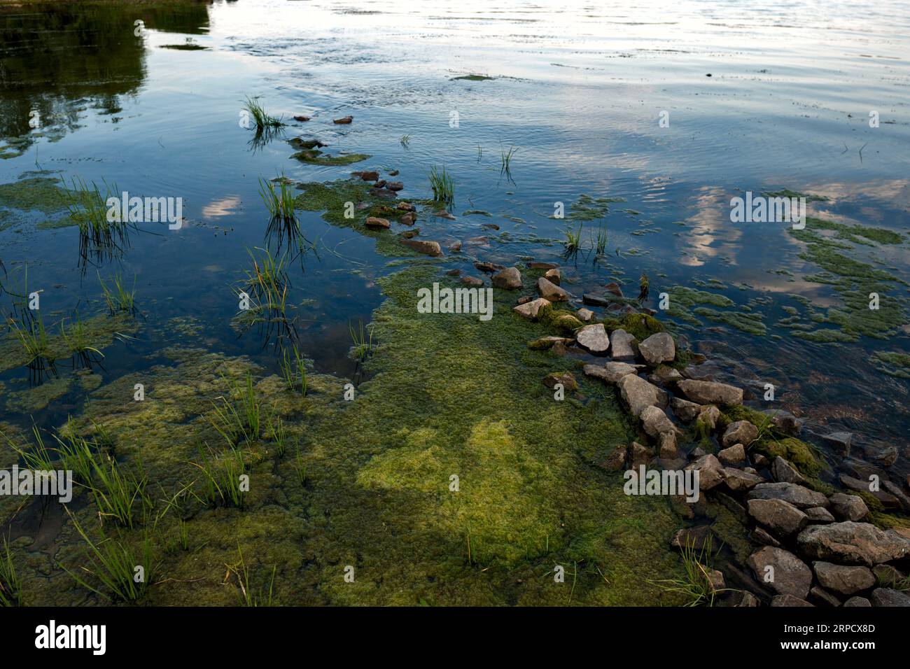 Calm lakeshore stones hi-res stock photography and images - Alamy