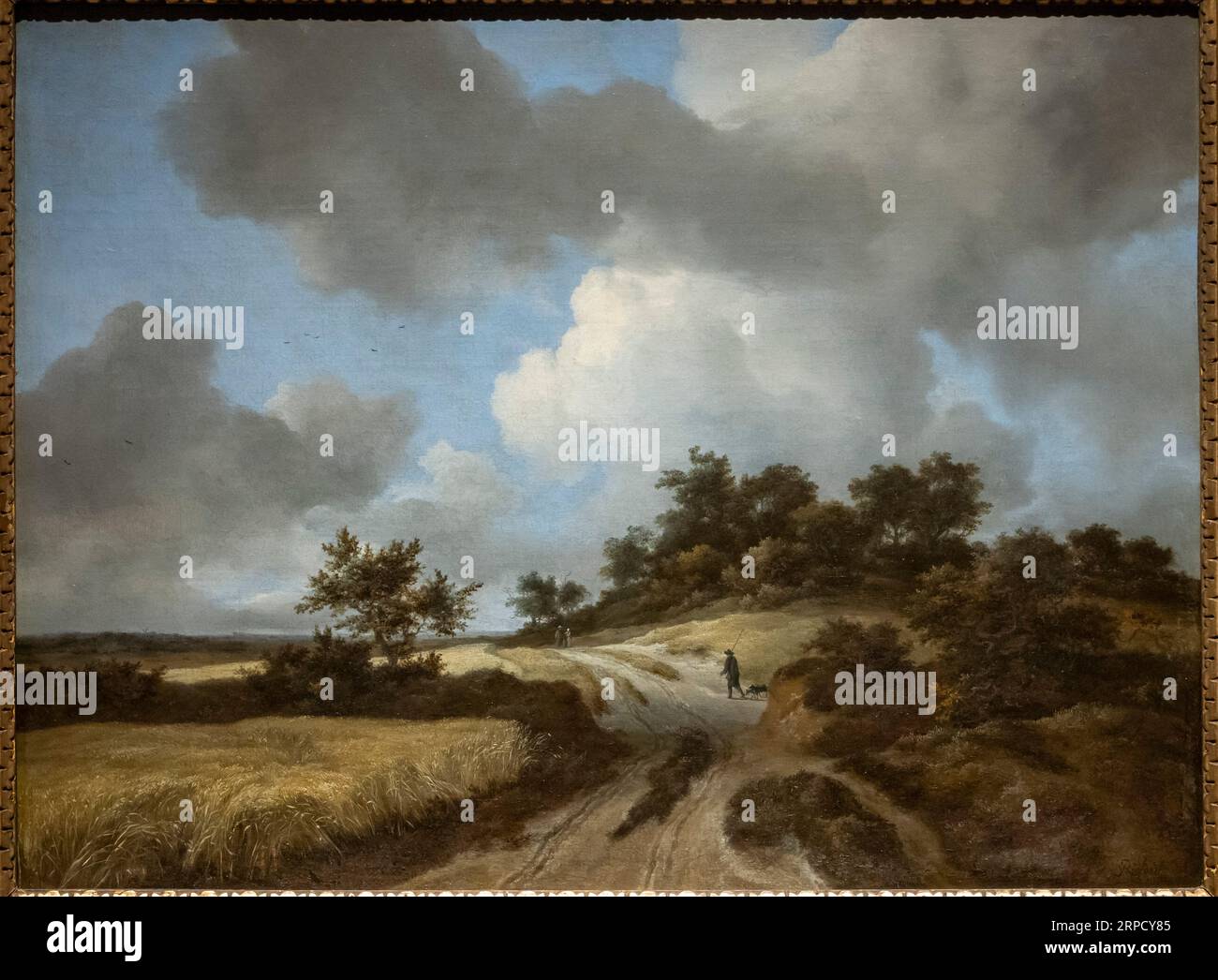 Jacob van Ruisdael, the Cornfield, oil on canvas, Ulster Museum ...