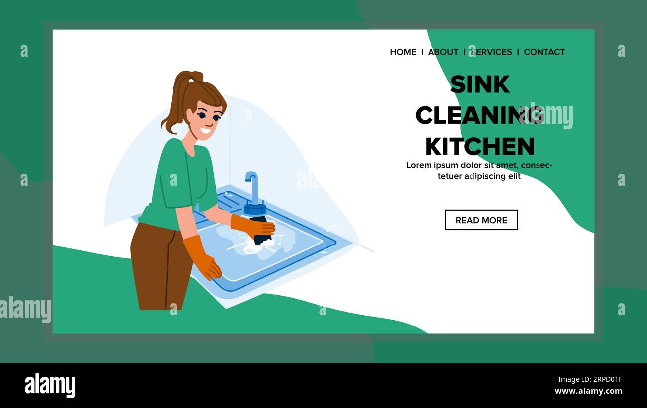 stainless sink cleaning kitchen vector Stock Vector Image & Art - Alamy